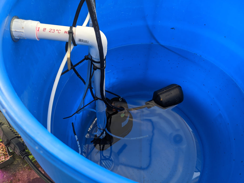 95790602_266312204404110_3557115253399486464_n_1024x1024.jpg?v=1588551156