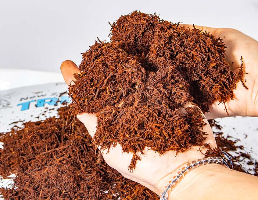 Fernwood New Zealand Tree Fern Fiber